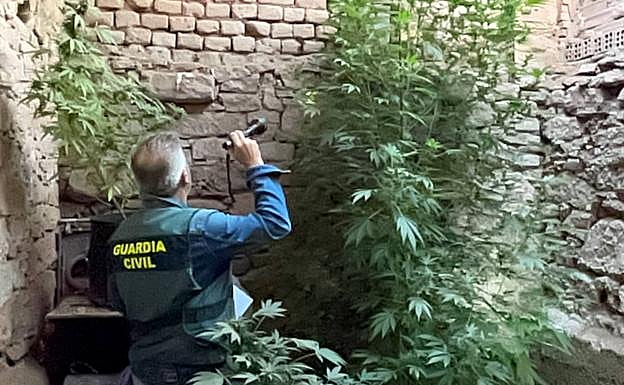 Detenidos dos hombres y desmantelado un laboratorio y punto de venta de droga en Alesanco | La Rioja